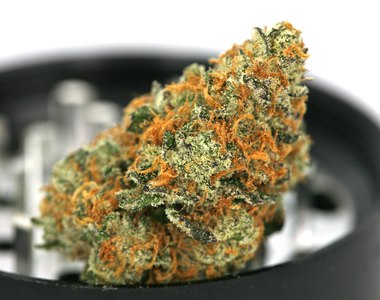 Your Source For Red Weed In Colorado | High Country Healing